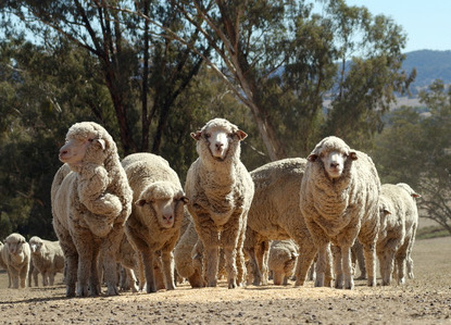 Background – Cobar Biohub