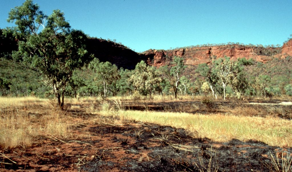 Background – Cobar Biohub
